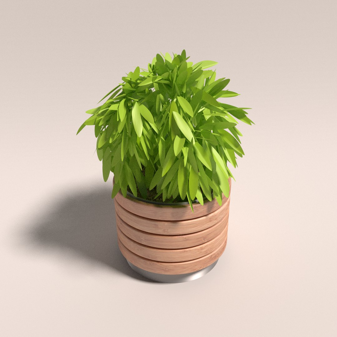 Plant Designed 3d Model