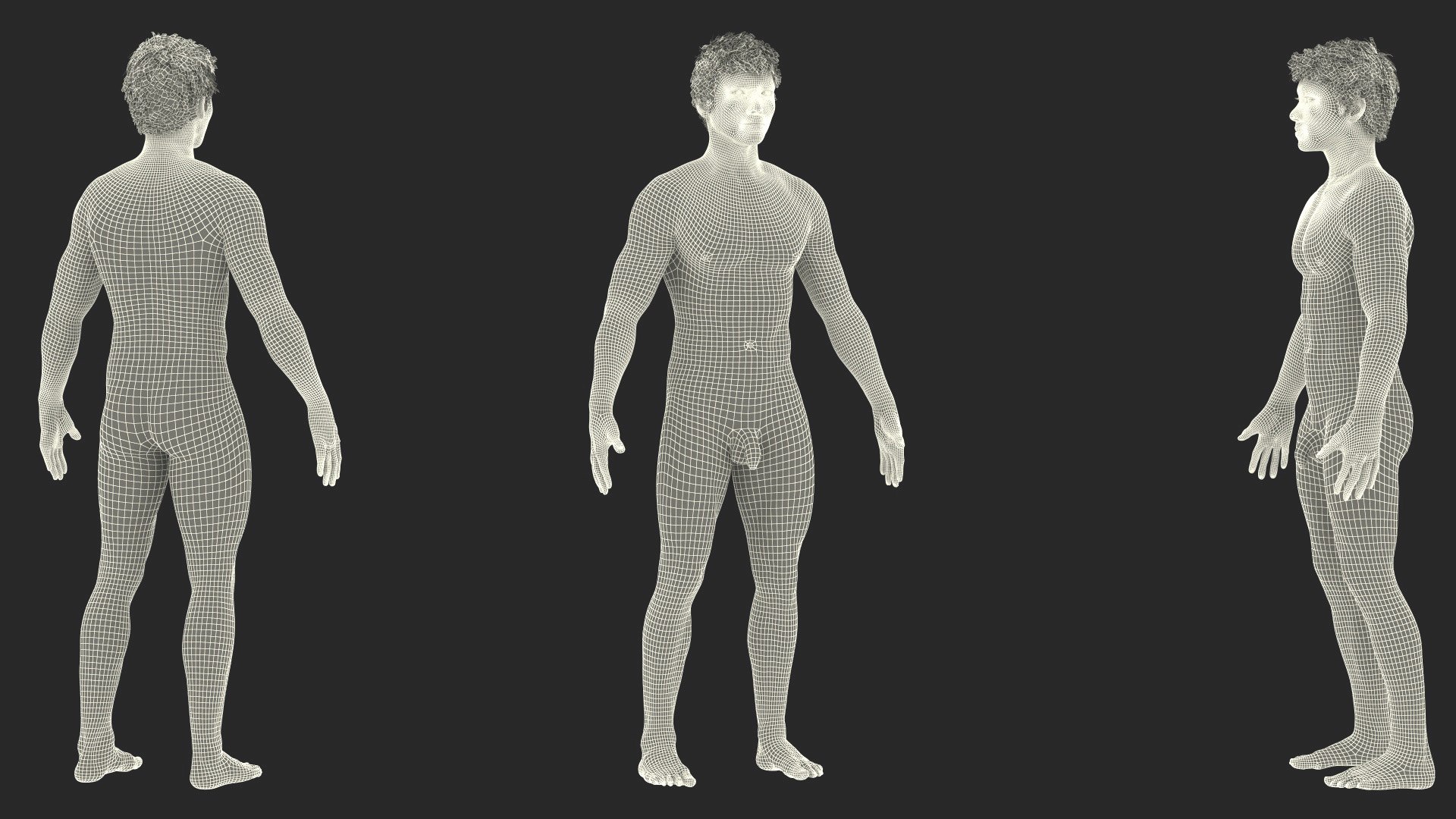Asian Male Body Anatomy 3D Model - TurboSquid 2295950