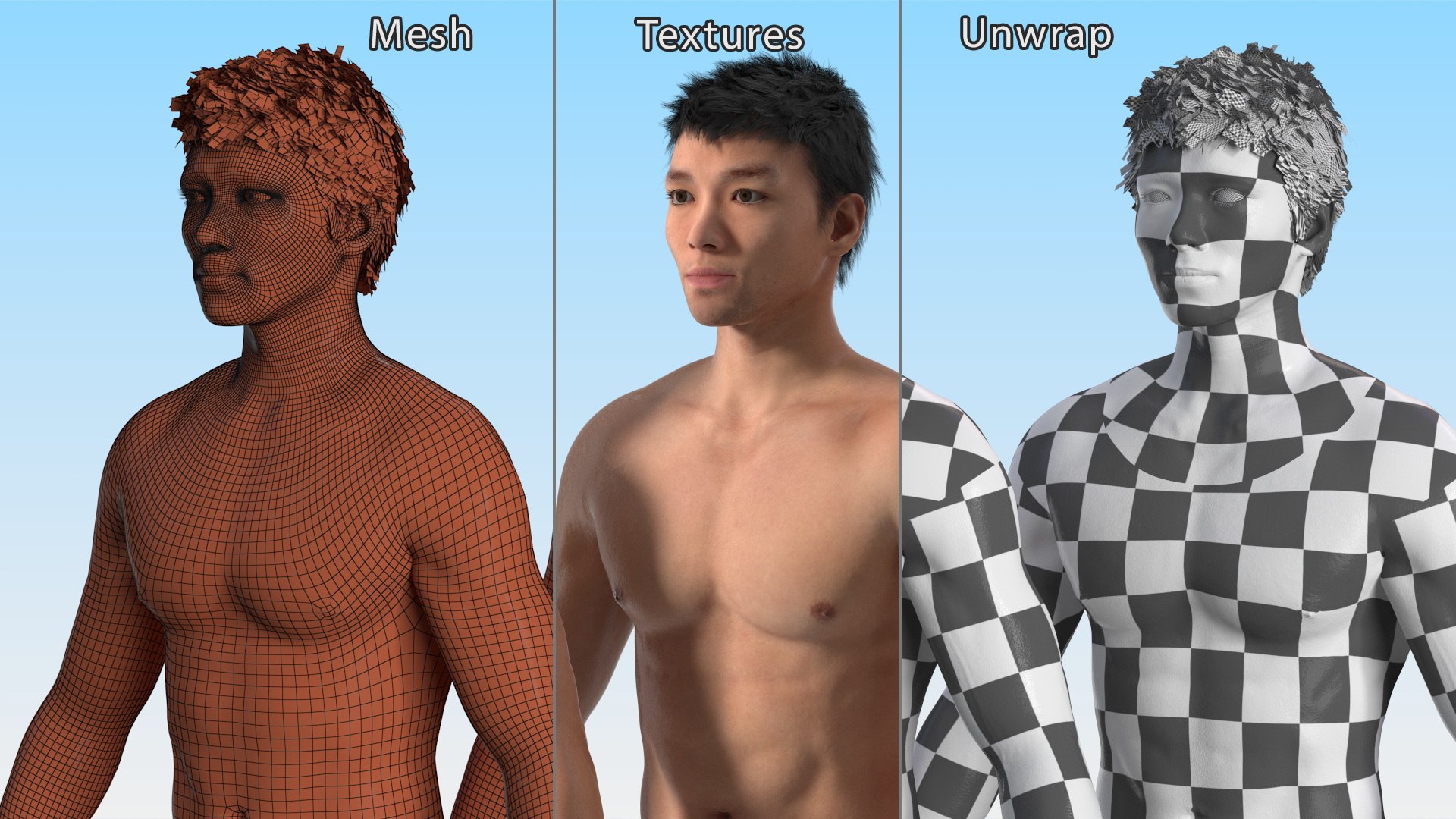 Asian Male Body Anatomy 3D Model - TurboSquid 2295950