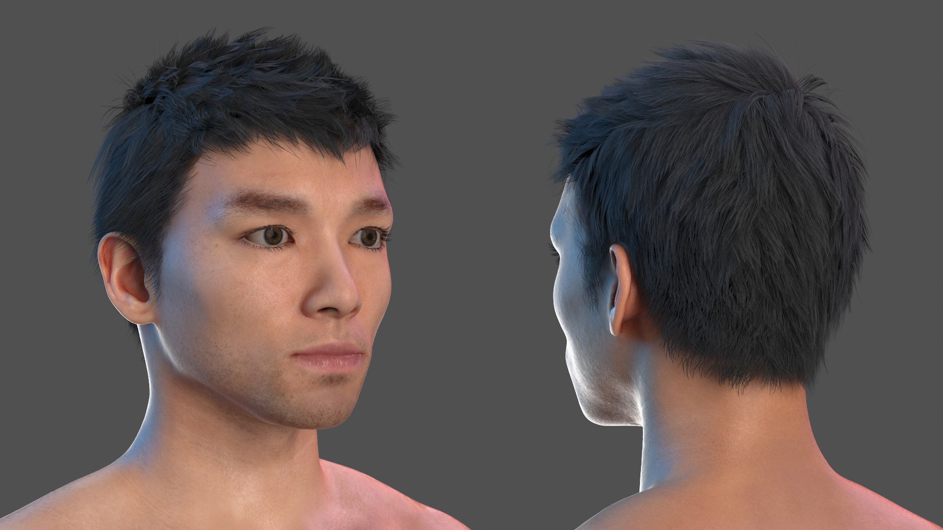 Asian Male Body Anatomy 3D Model - TurboSquid 2295950