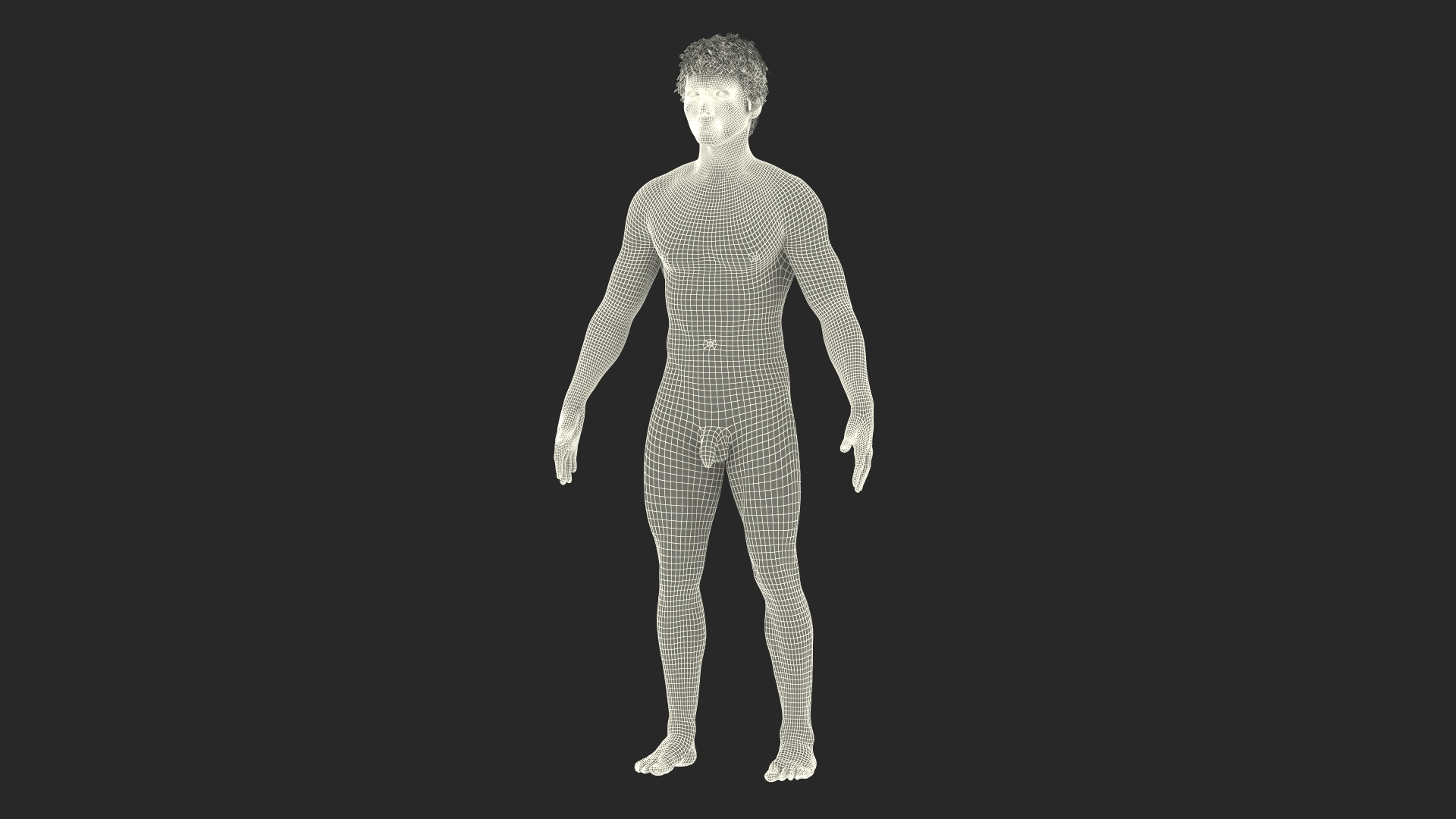 Asian Male Body Anatomy 3D Model - TurboSquid 2295950