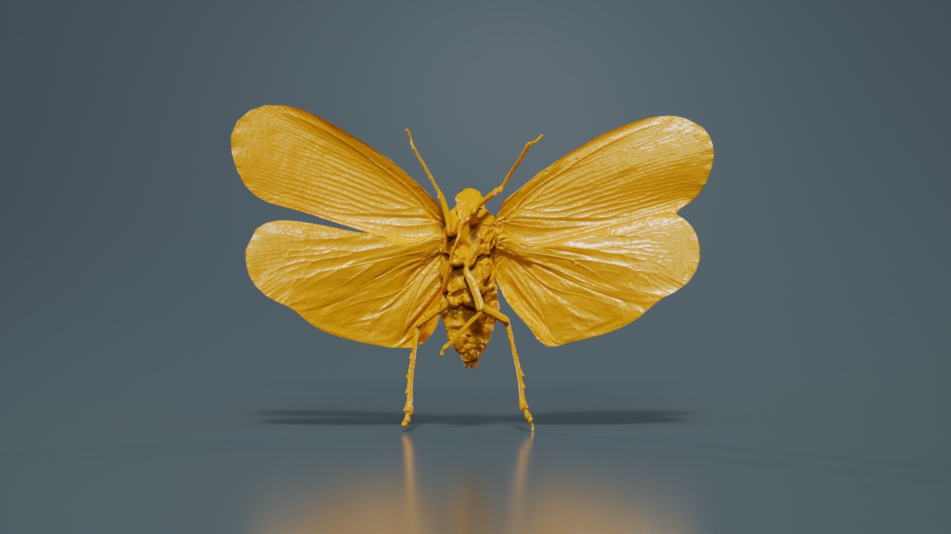 3D Aphaena Submaculata Cambodia Remastered Model - TurboSquid 2359750