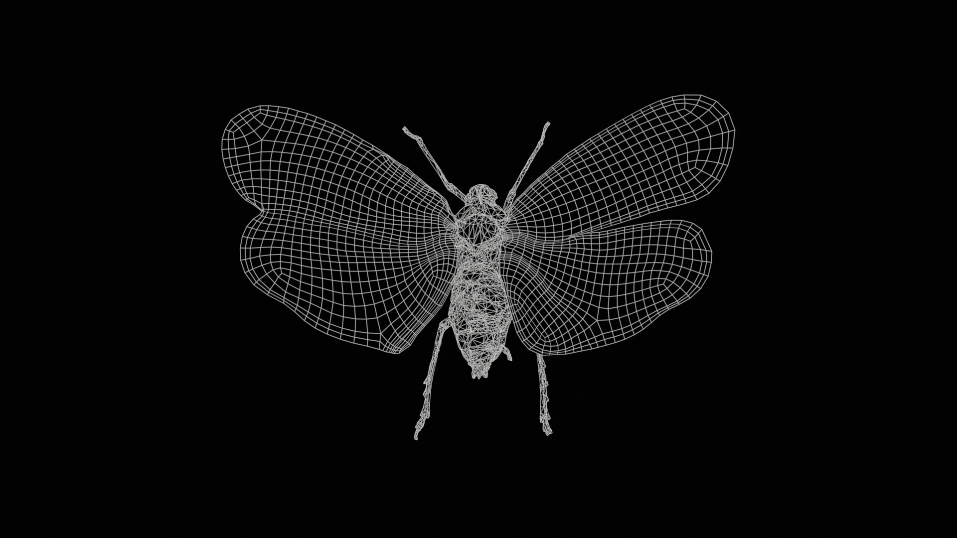 3D Aphaena Submaculata Cambodia Remastered Model - TurboSquid 2359750