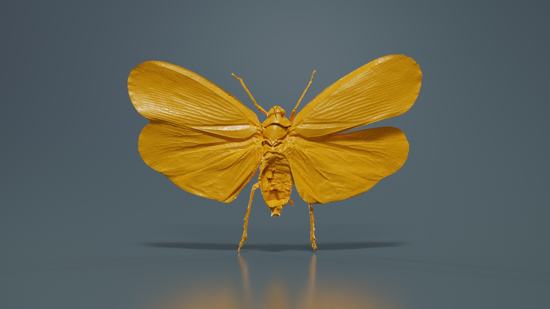 3D Aphaena Submaculata Cambodia Remastered Model - TurboSquid 2359750