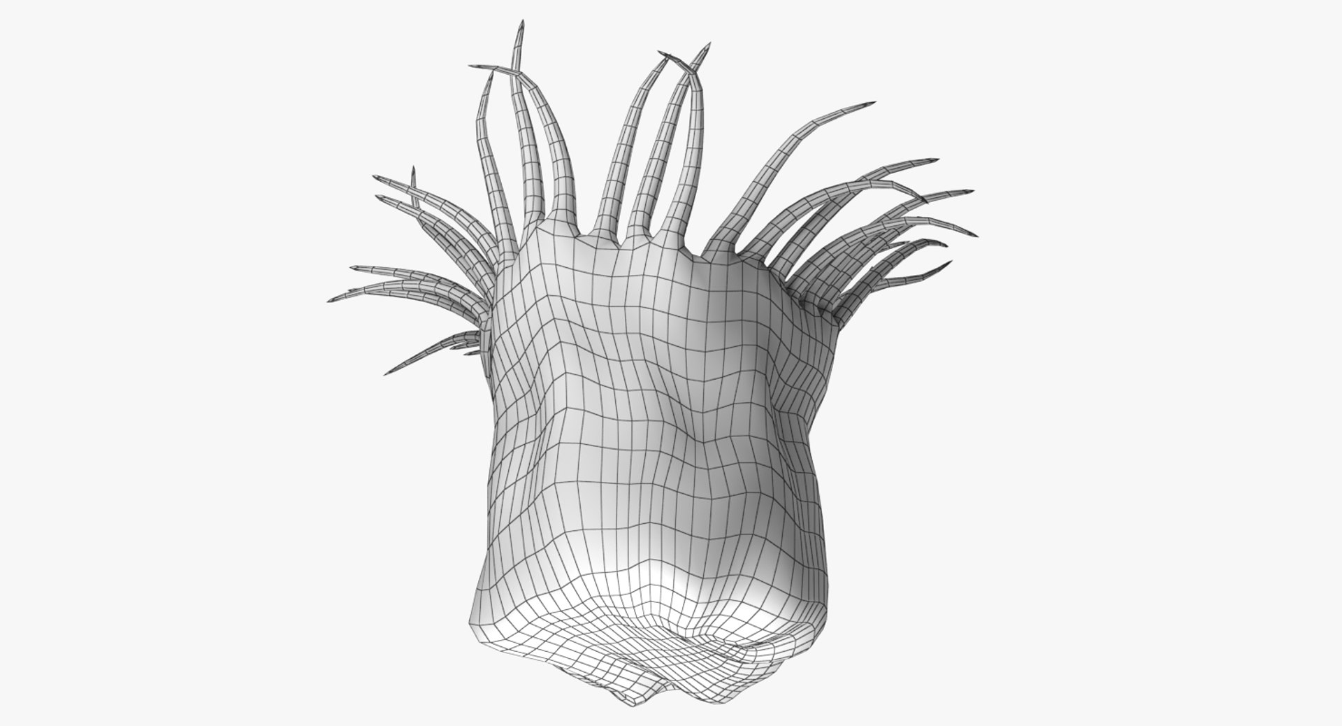 3d Model Of Anemone Actinia Equina