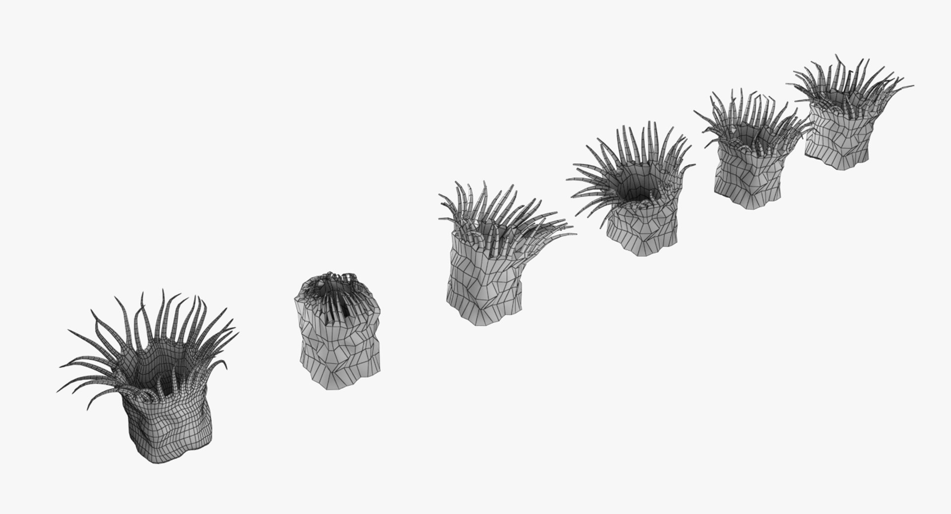 3d Model Of Anemone Actinia Equina