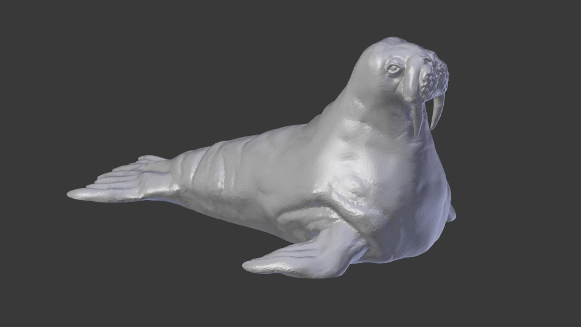3D Walrus Model - TurboSquid 1166258