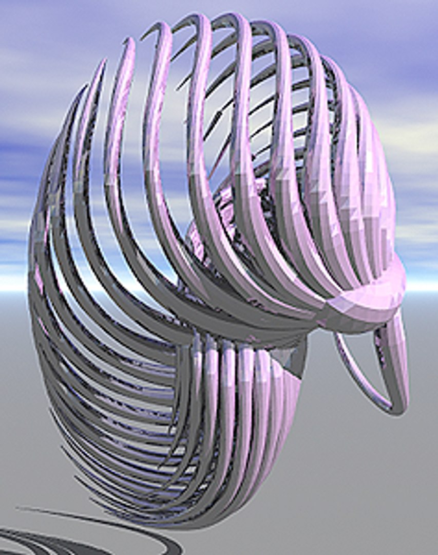 Skelton Shell 3d Model