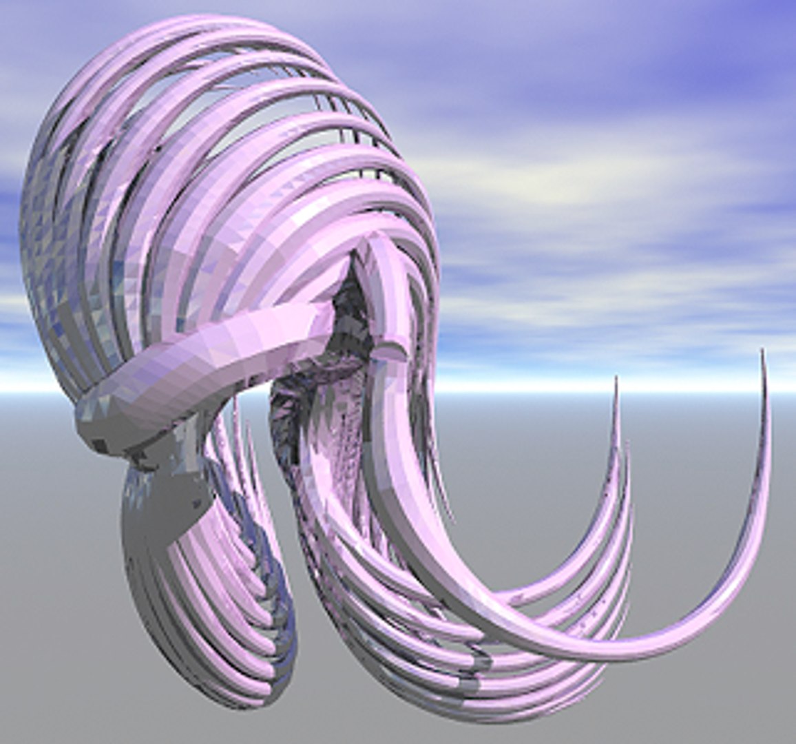 Skelton Shell 3d Model