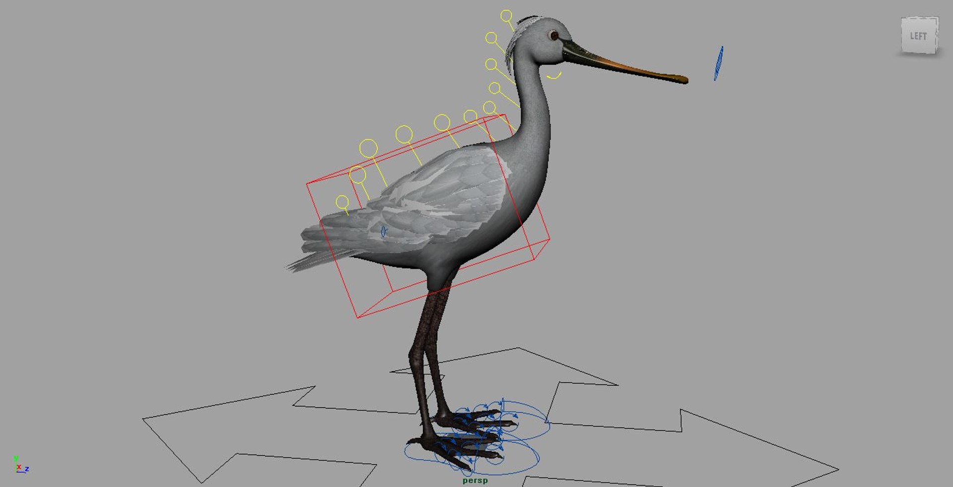 3D Bird Animal - TurboSquid 1462518