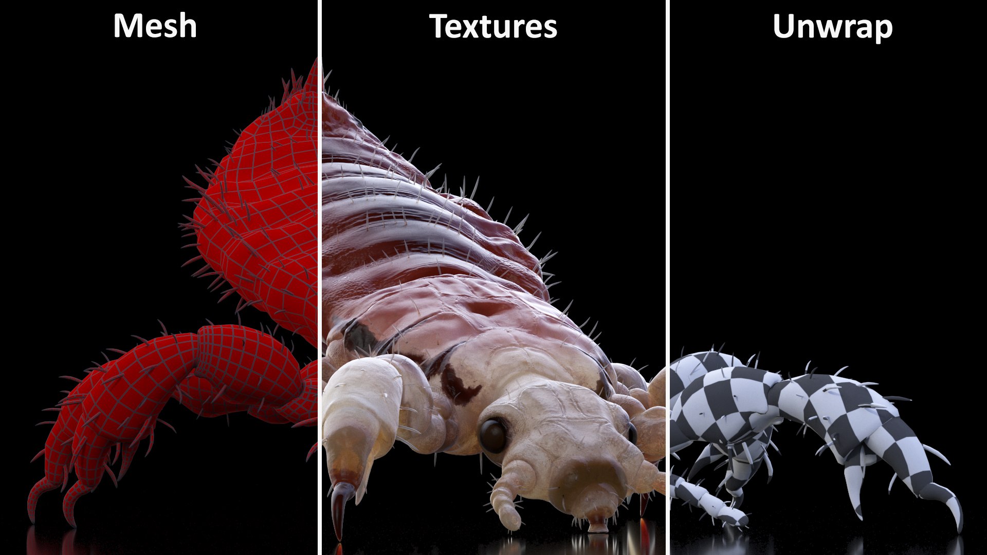 3D Model Louse With Blood Eating Pose - TurboSquid 2284142