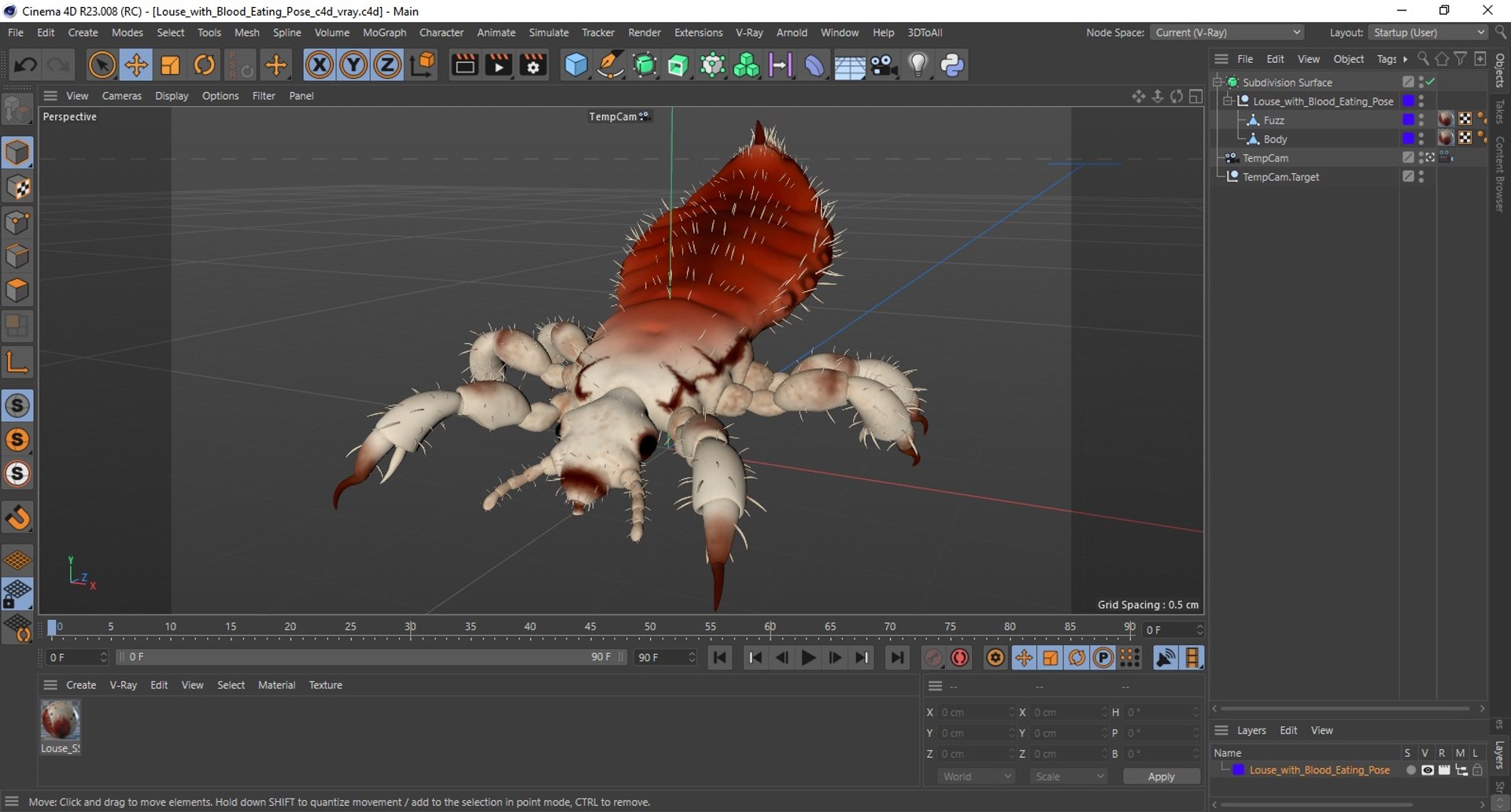 3D Model Louse With Blood Eating Pose - TurboSquid 2284142