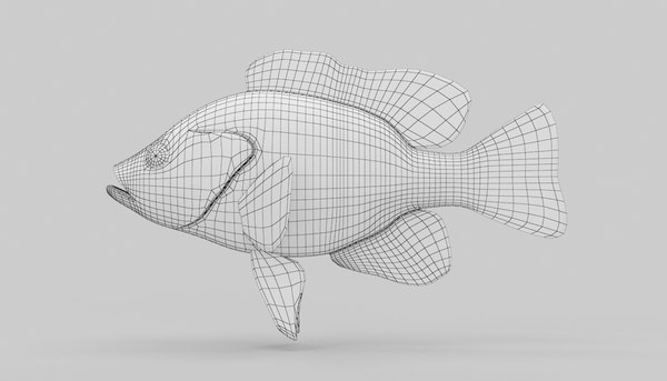 Fish bluegill sunfish 3D model - TurboSquid 1382947