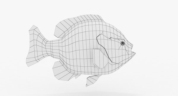 Fish bluegill sunfish 3D model - TurboSquid 1382947