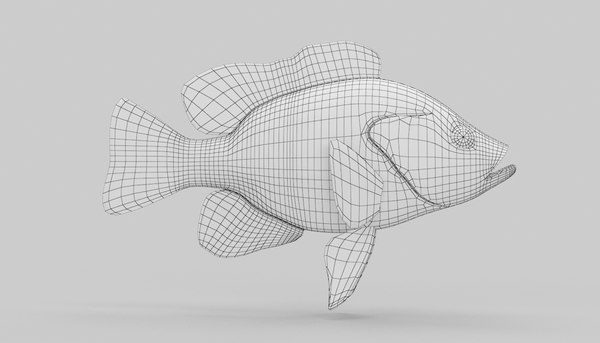 Fish bluegill sunfish 3D model - TurboSquid 1382947