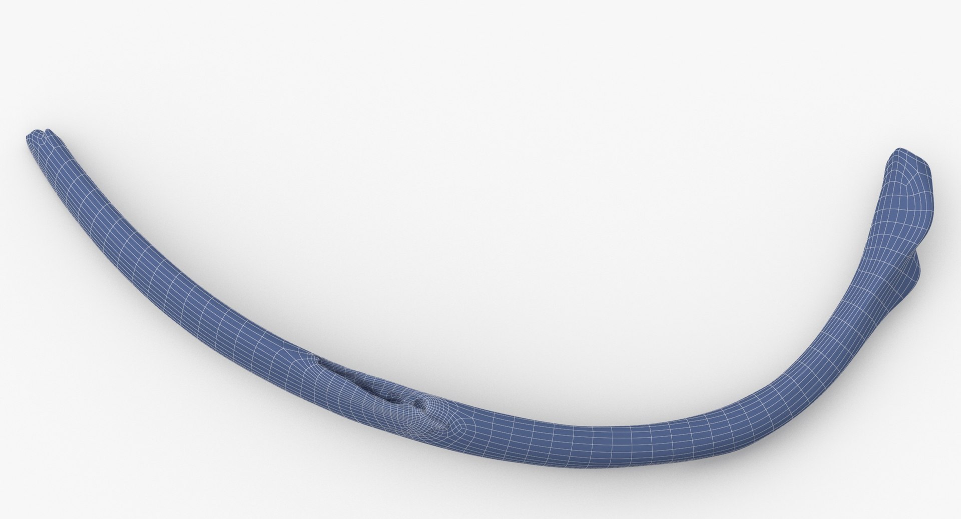 3D model costae fluctuantes floating rib - TurboSquid 1658658