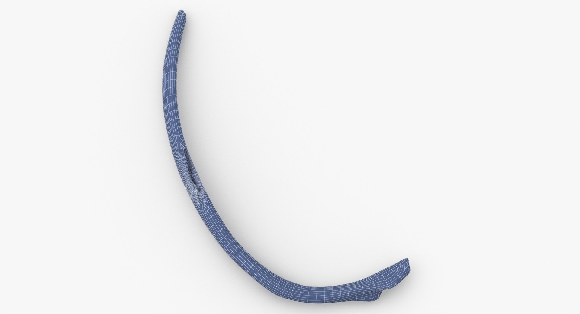 3D model costae fluctuantes floating rib - TurboSquid 1658658