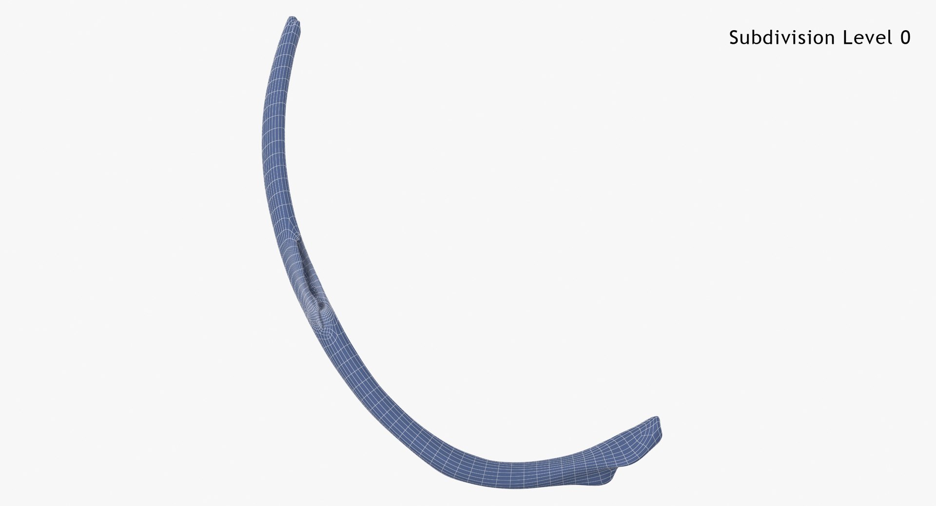 3D model costae fluctuantes floating rib - TurboSquid 1658658