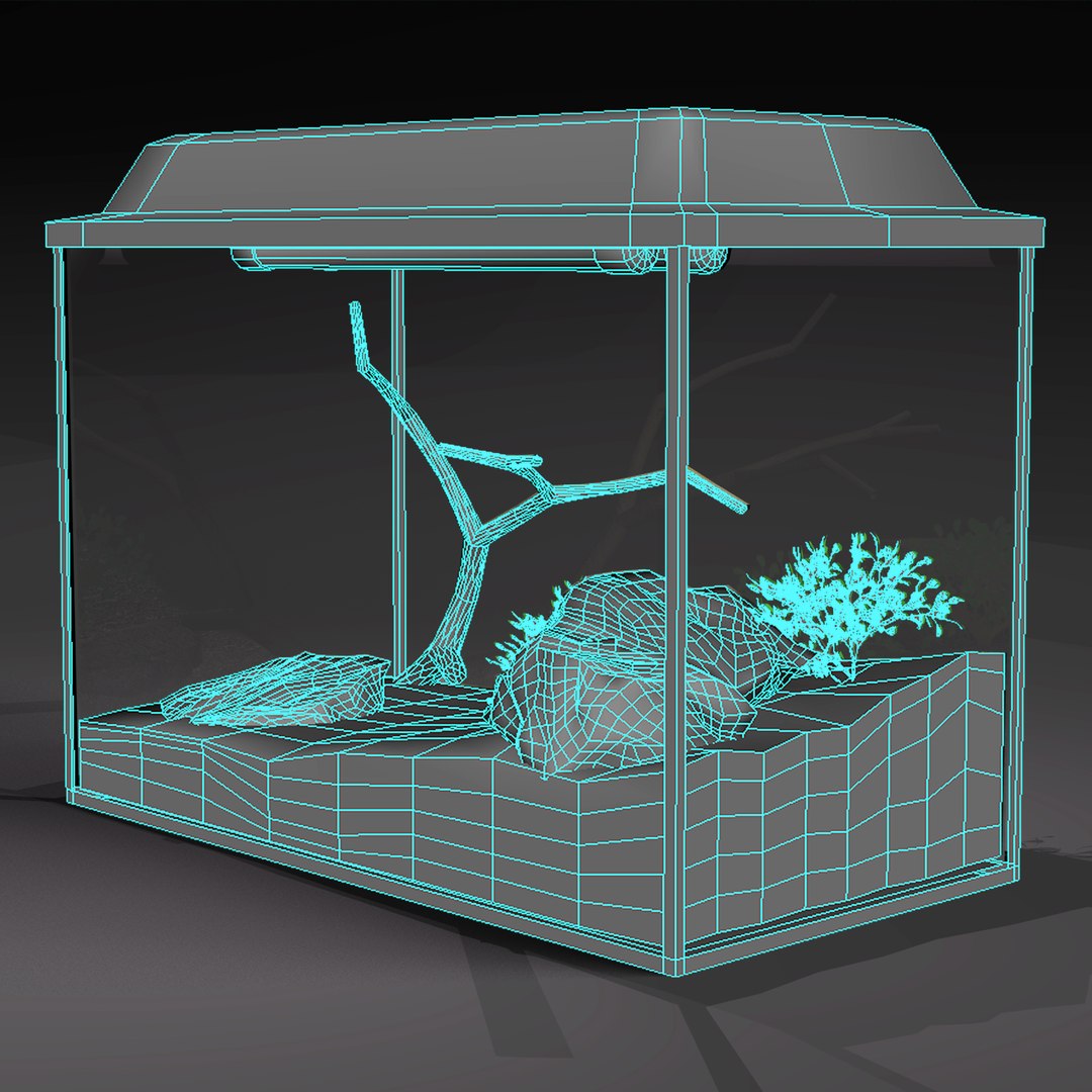 3d Aquarium Model