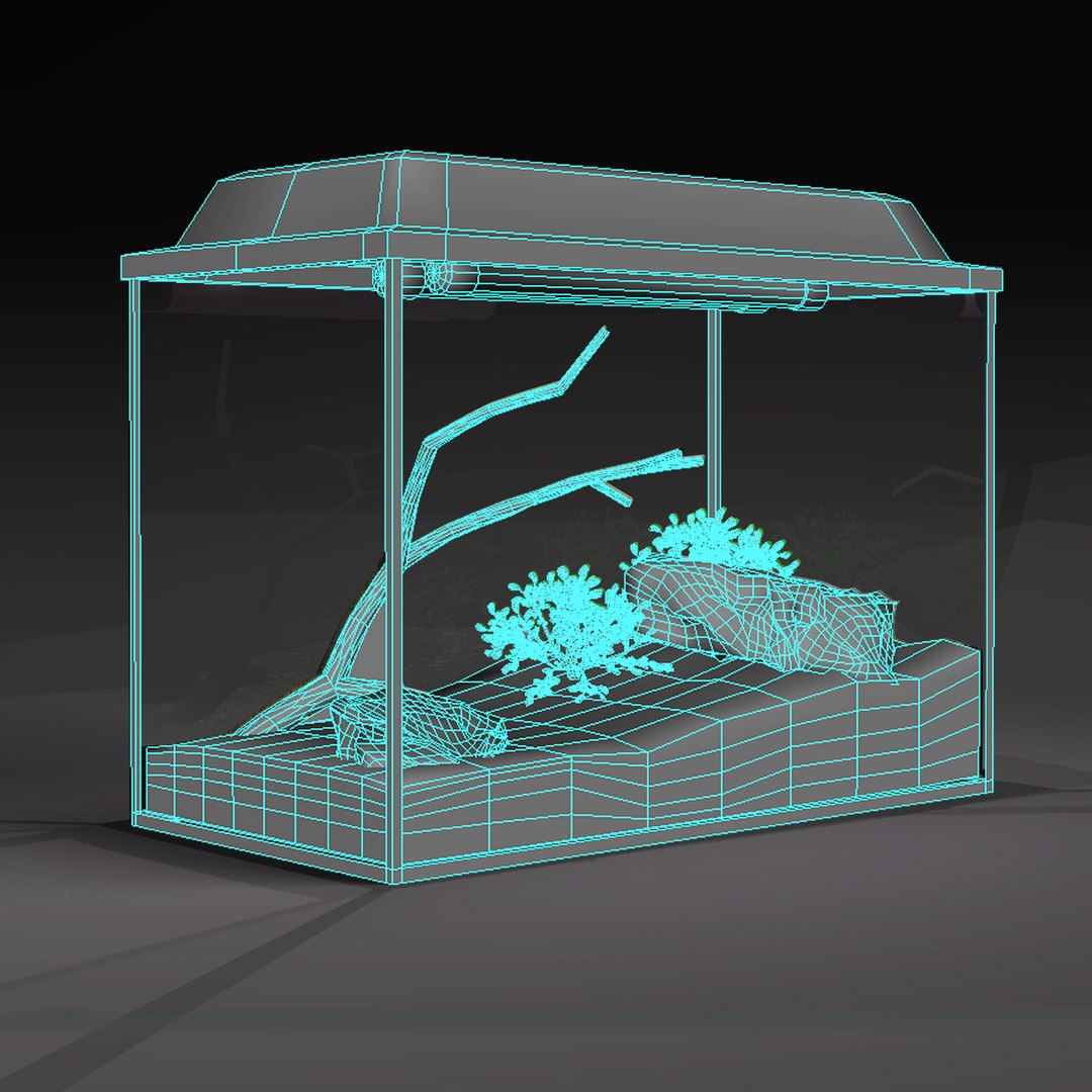 3d Aquarium Model