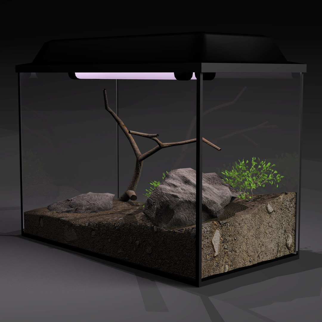 3d Aquarium Model