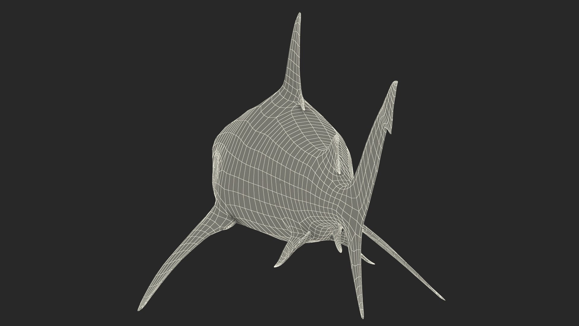 Realistic Bull Shark Rigged For Cinema 4D 3D Model - TurboSquid 2340825