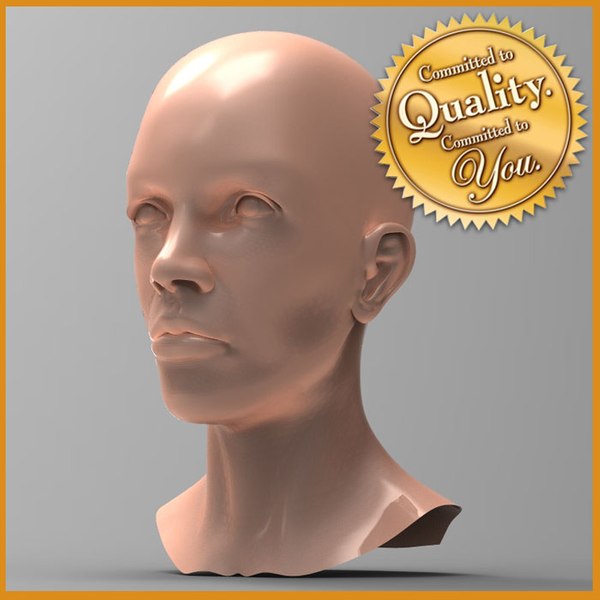 3d female head model