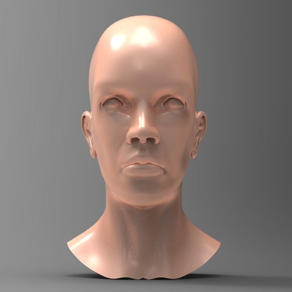 3d female head model