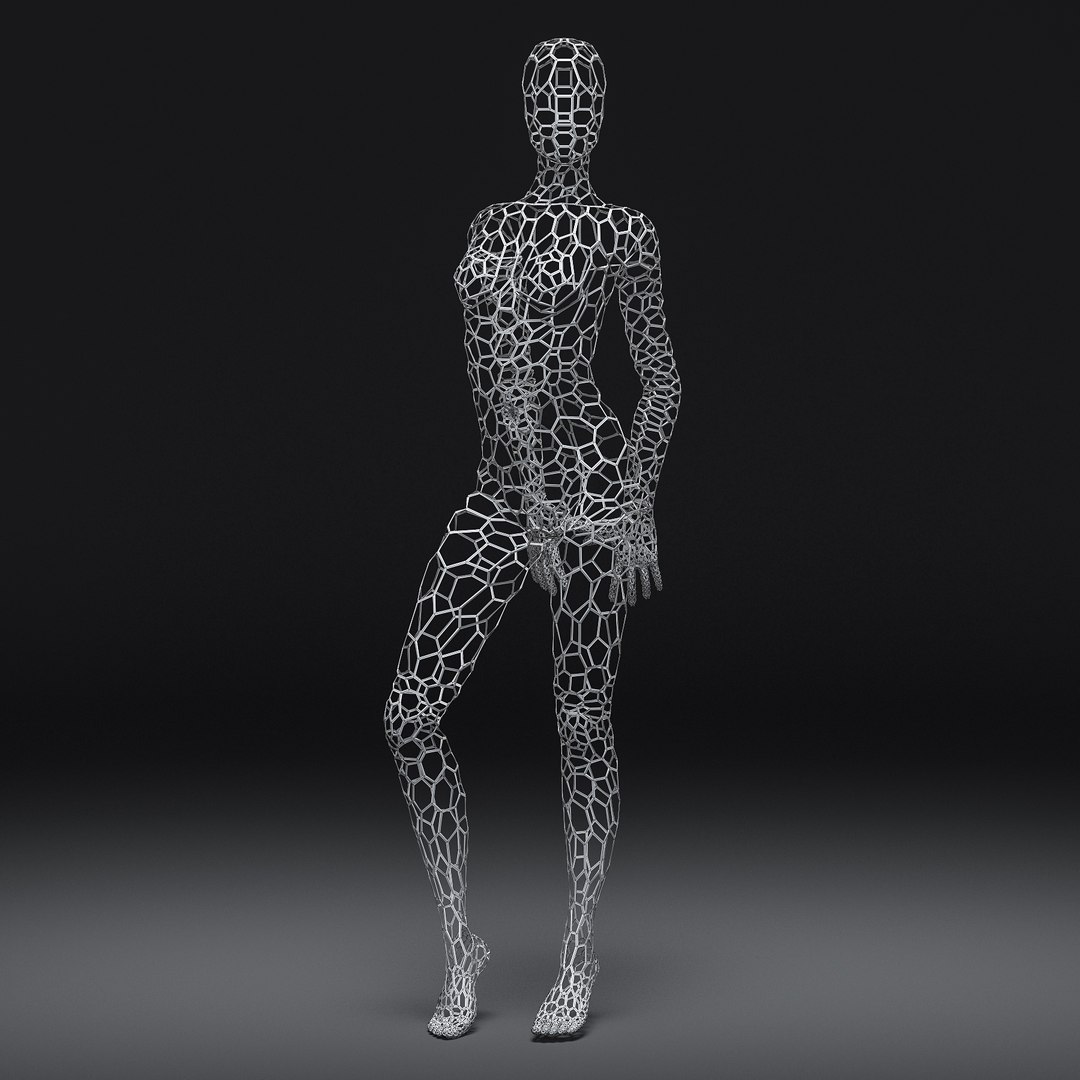 3D Female Wire Mannequin - TurboSquid 1172010