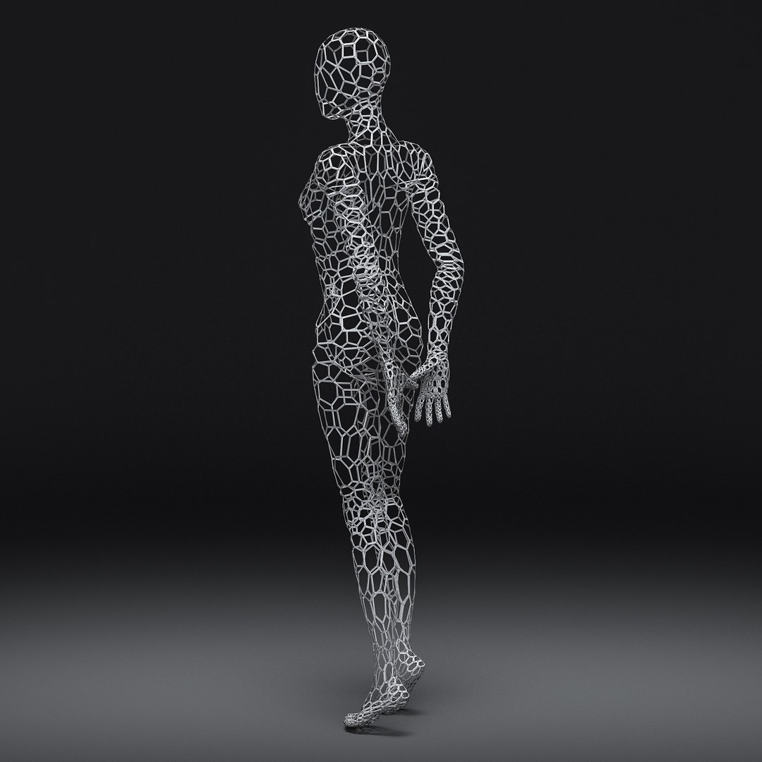 3D Female Wire Mannequin - TurboSquid 1172010