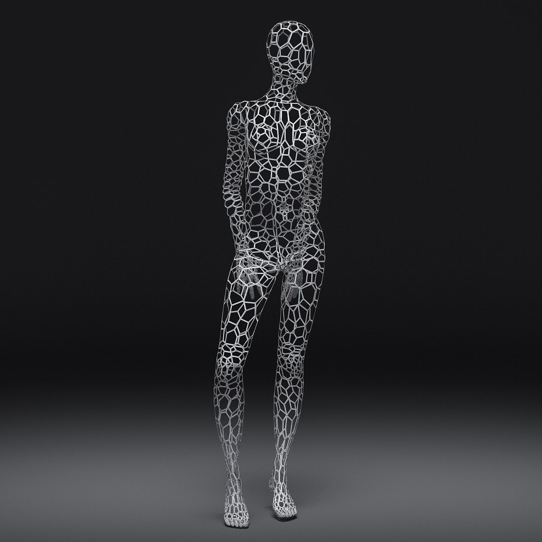 3D Female Wire Mannequin - TurboSquid 1172010