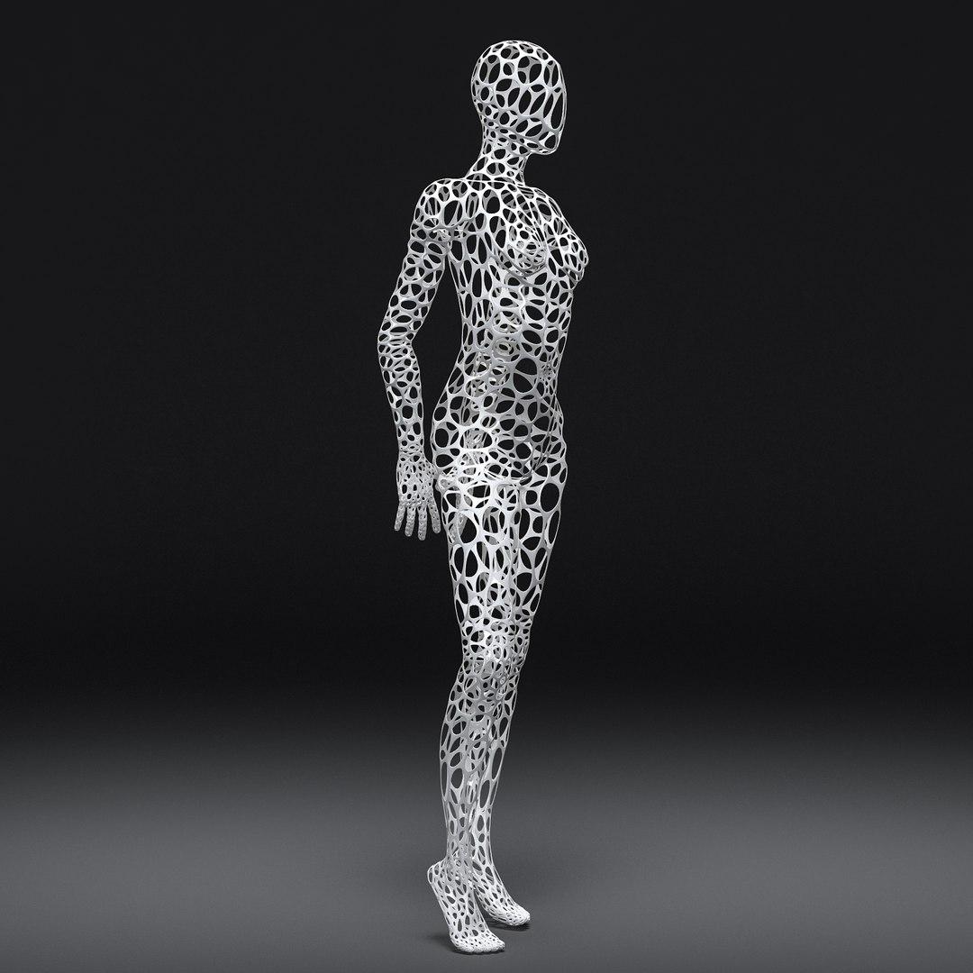 3D Female Wire Mannequin - TurboSquid 1172010