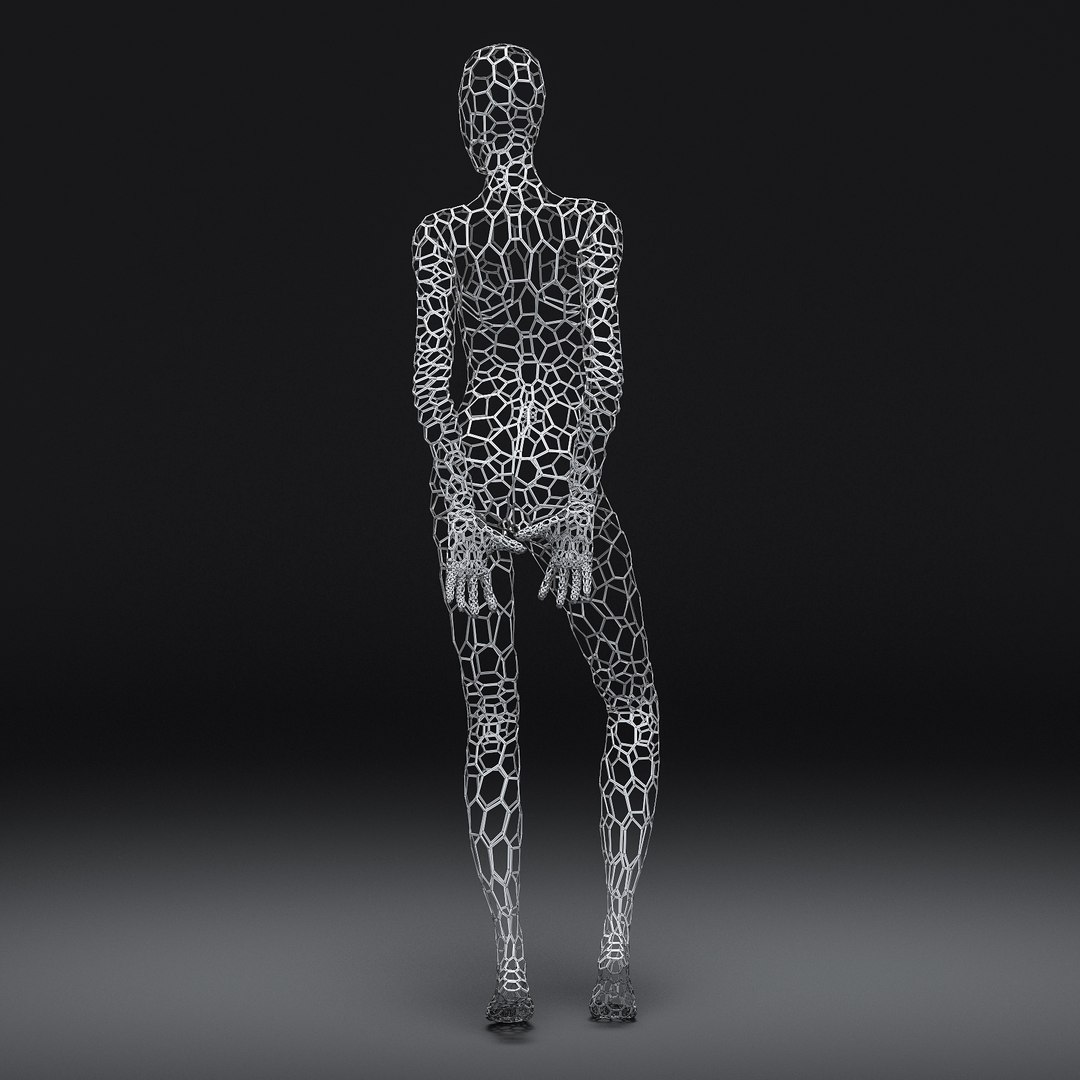 3D Female Wire Mannequin - TurboSquid 1172010