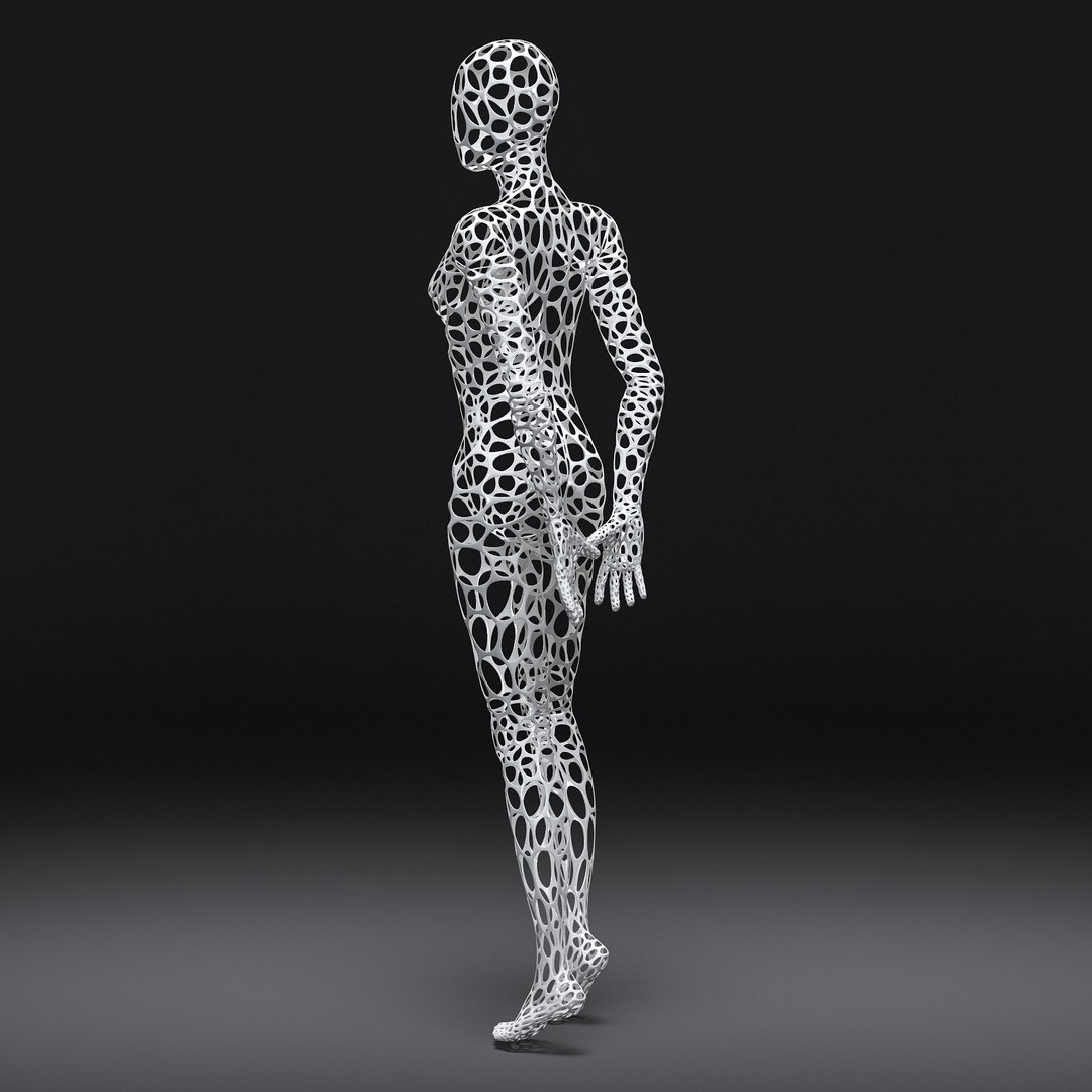3D Female Wire Mannequin - TurboSquid 1172010