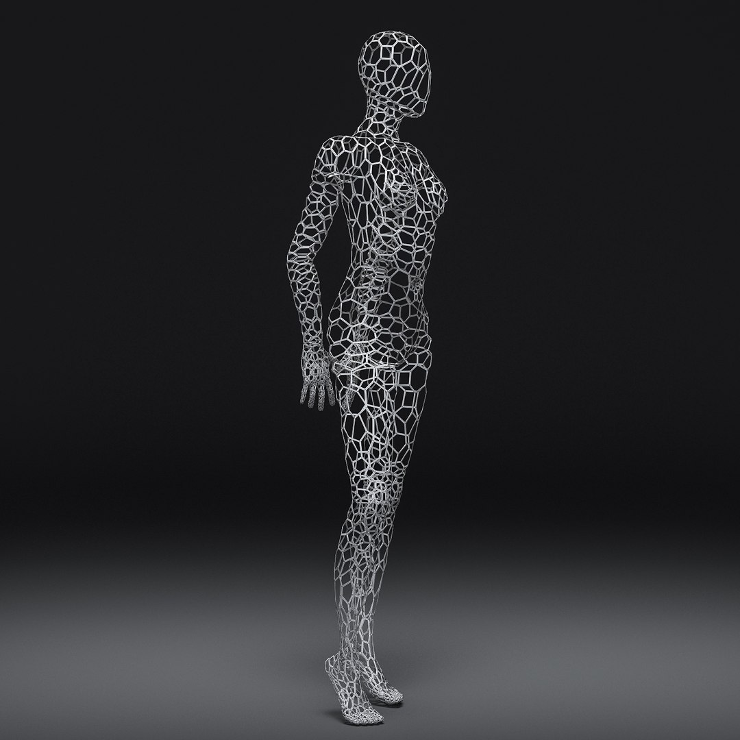 3D Female Wire Mannequin - TurboSquid 1172010