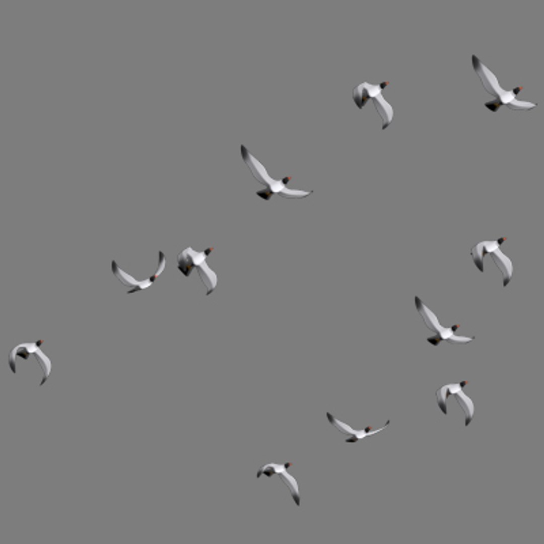 3d Flock Birds Model