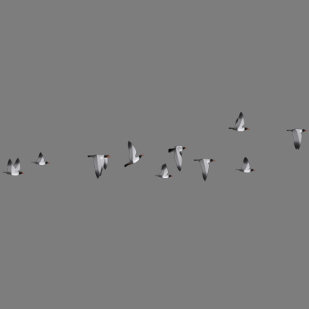 3d Flock Birds Model