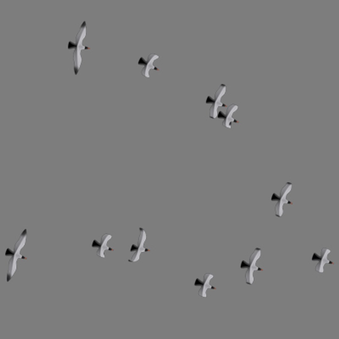 3d Flock Birds Model