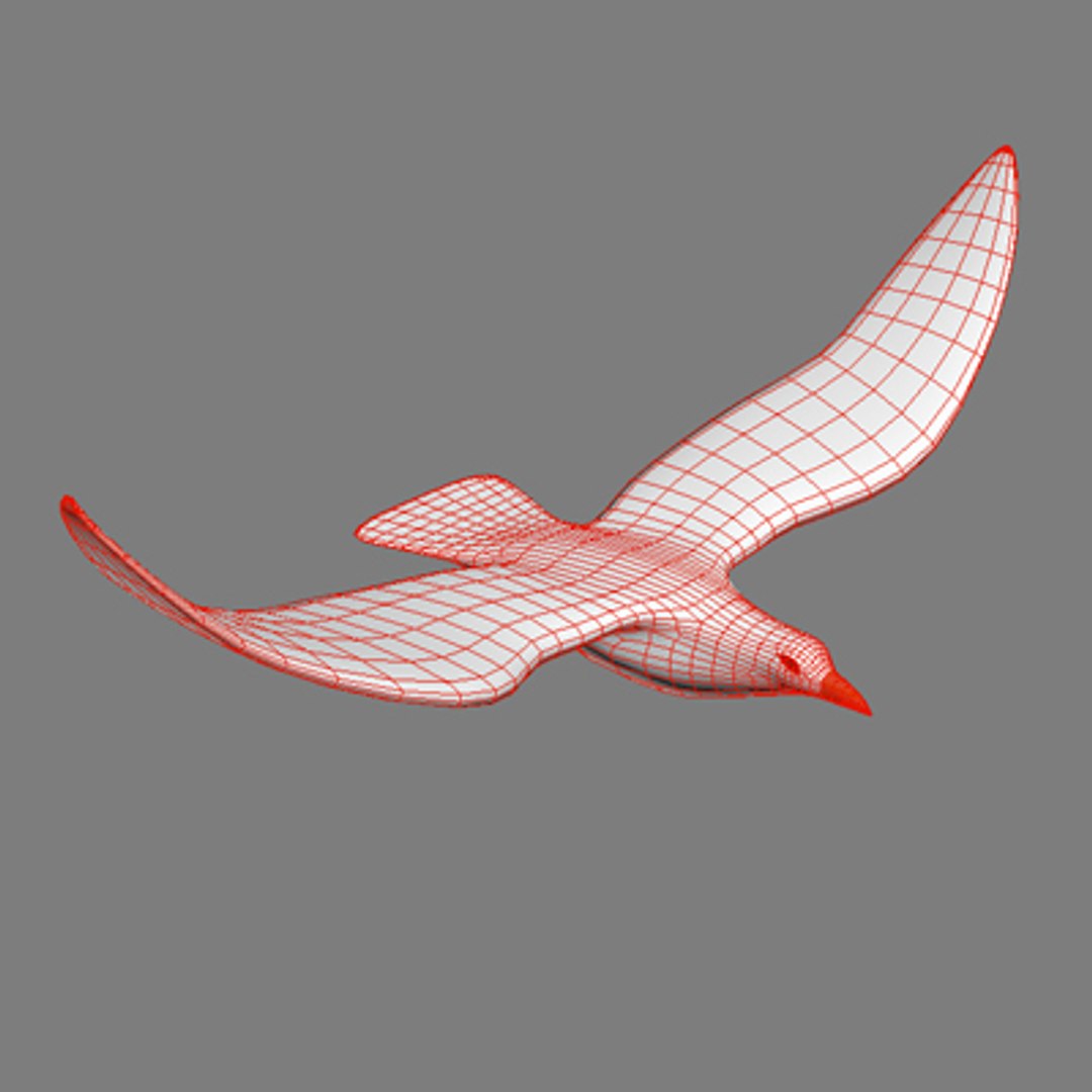 3d Flock Birds Model