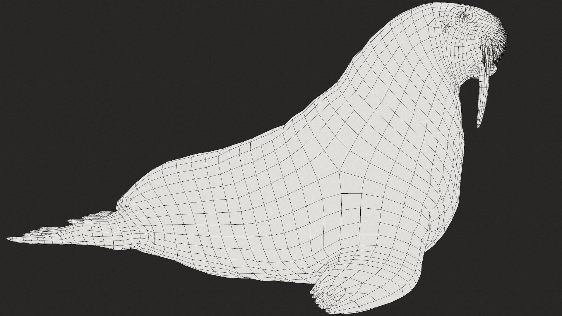 3D Model Walrus Animal Nature - TurboSquid 1619330