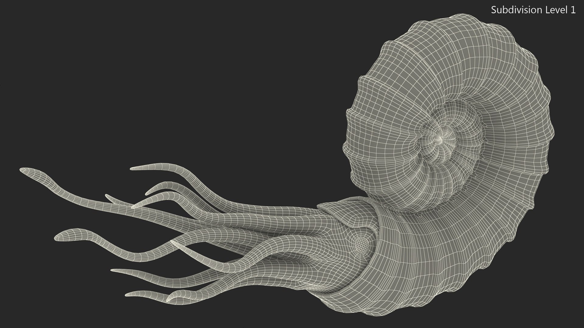 Ammonite For 3D Print 3D - TurboSquid 2256173