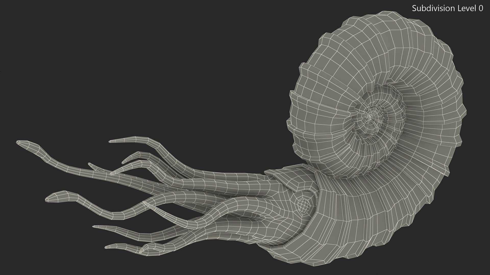Ammonite For 3D Print 3D - TurboSquid 2256173