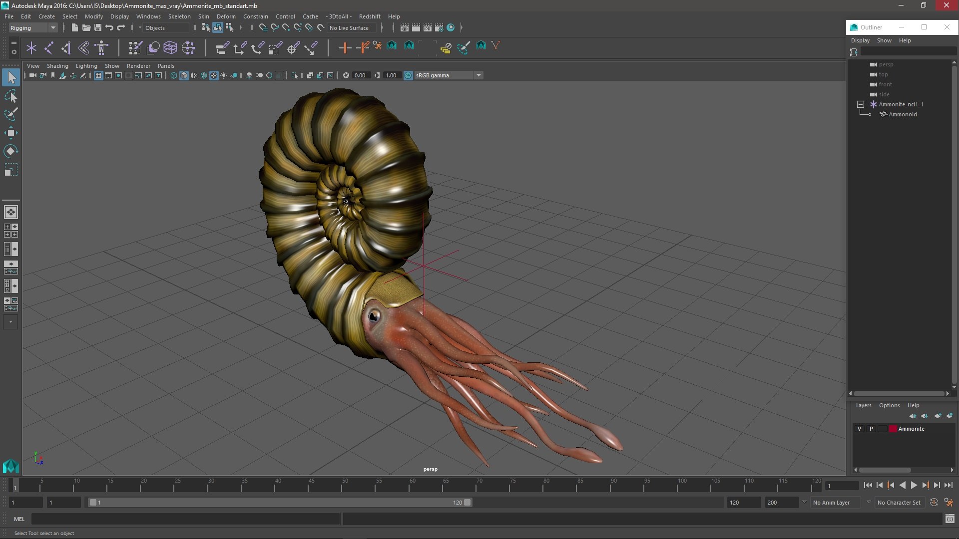 Ammonite For 3D Print 3D - TurboSquid 2256173