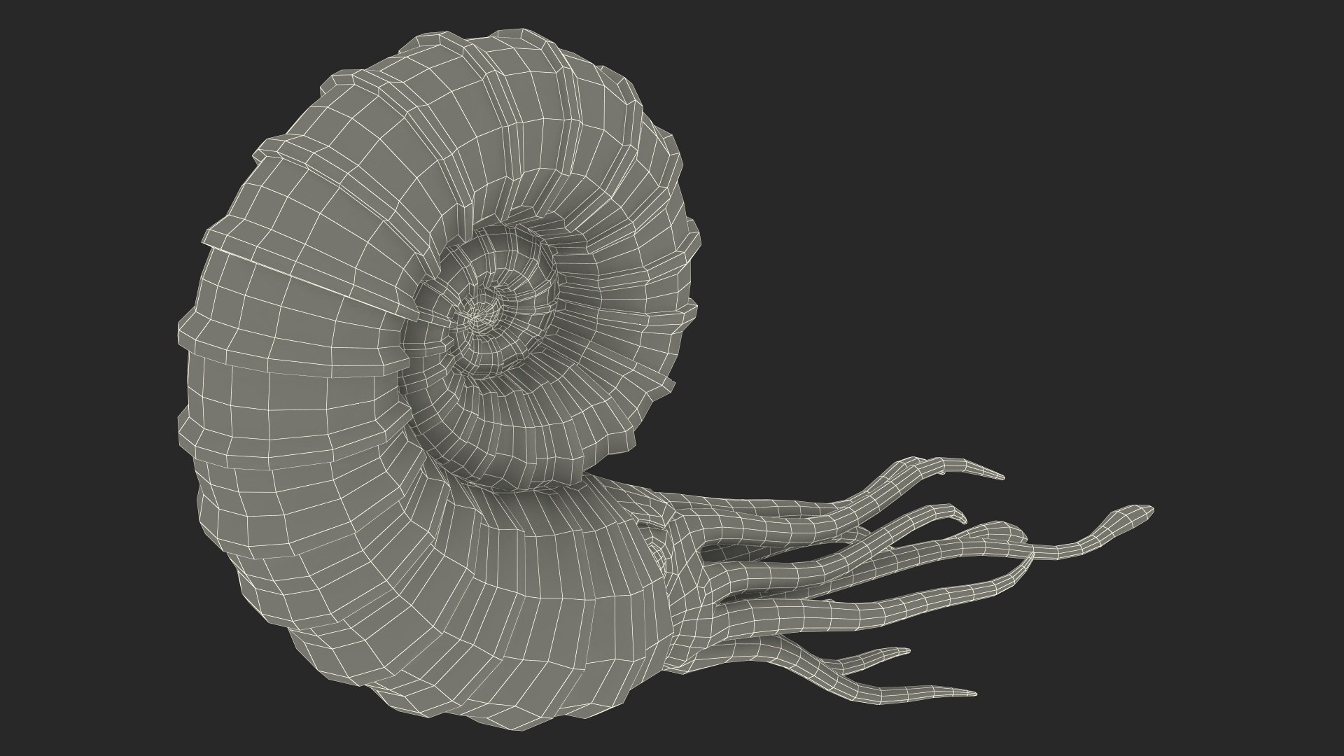 Ammonite For 3D Print 3D - TurboSquid 2256173
