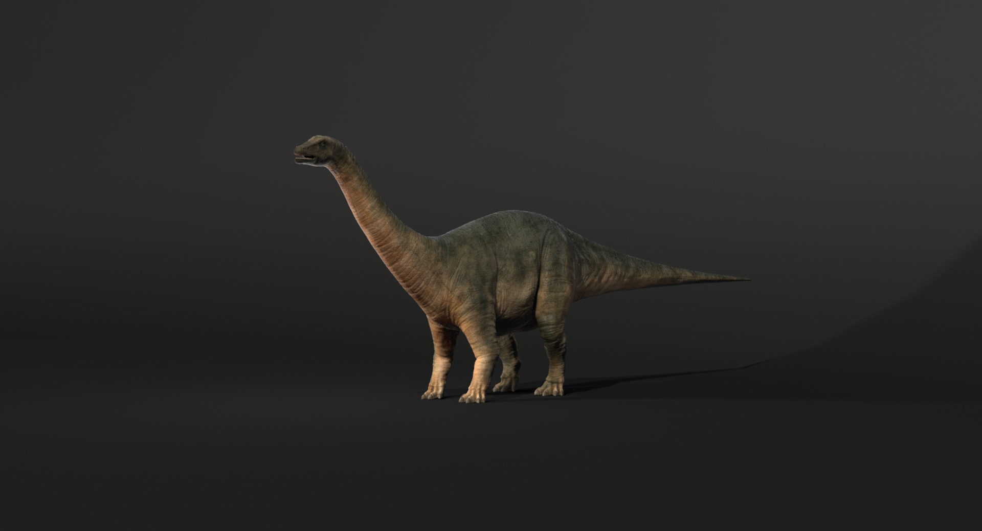3d Brontosaurus Rigged