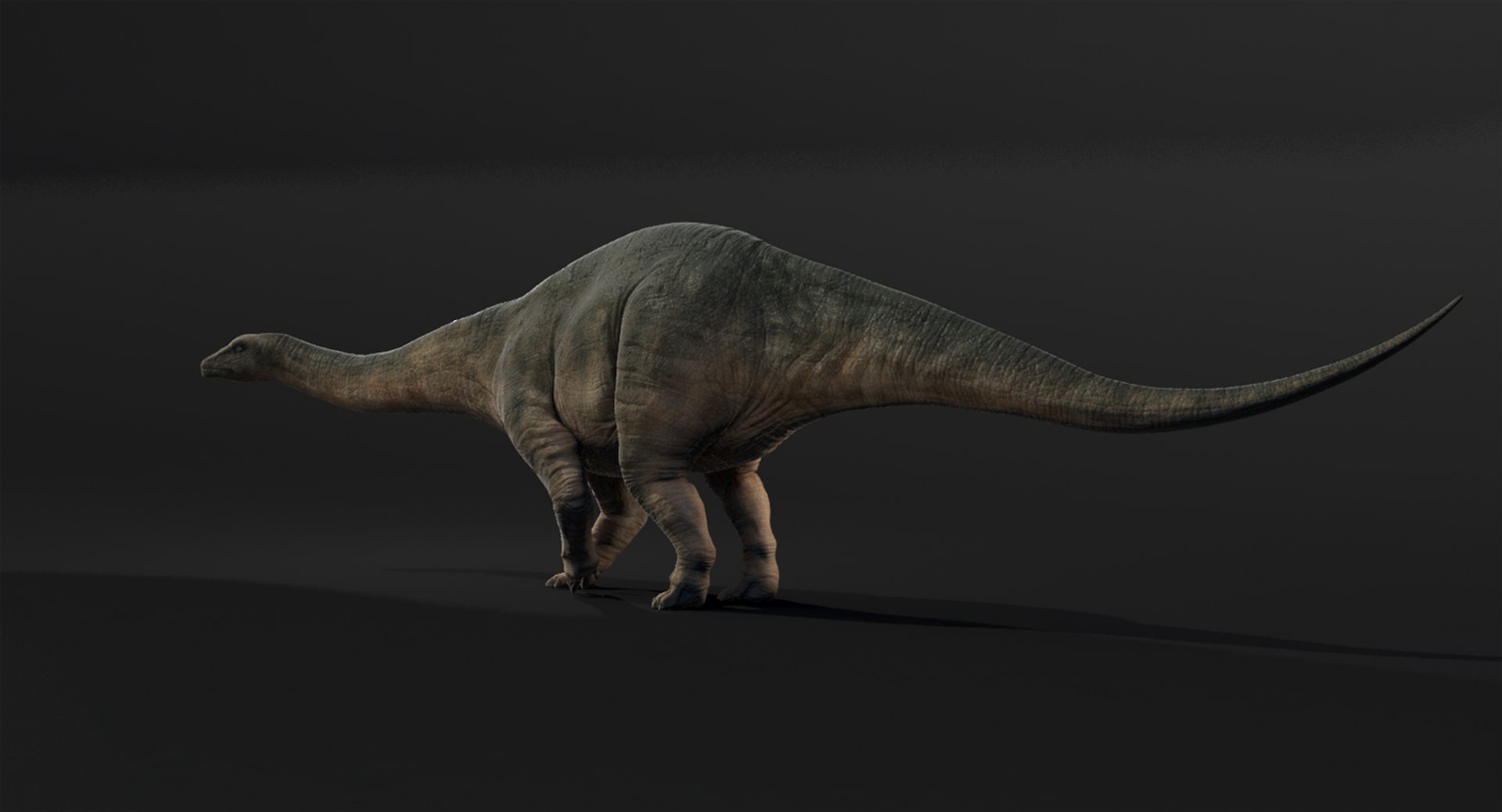 3d Brontosaurus Rigged