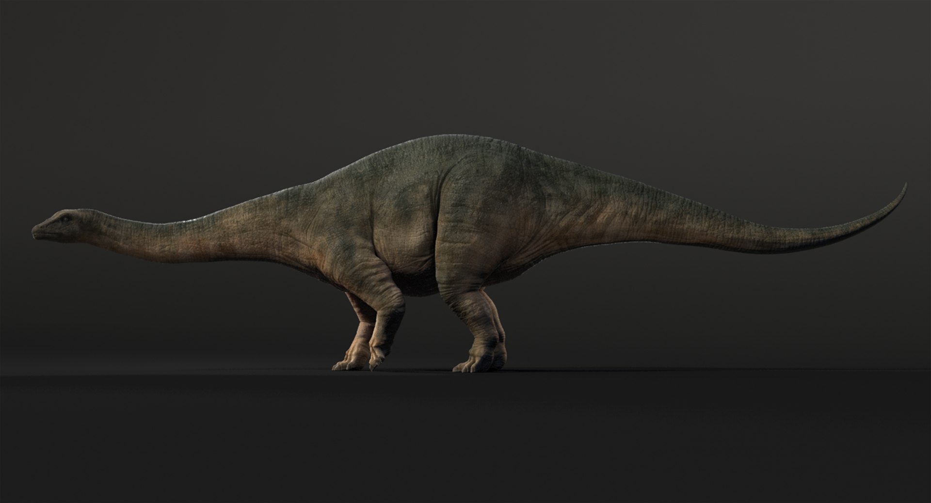 3d Brontosaurus Rigged