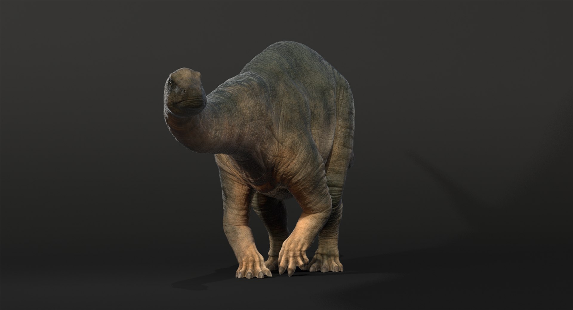 3d Brontosaurus Rigged
