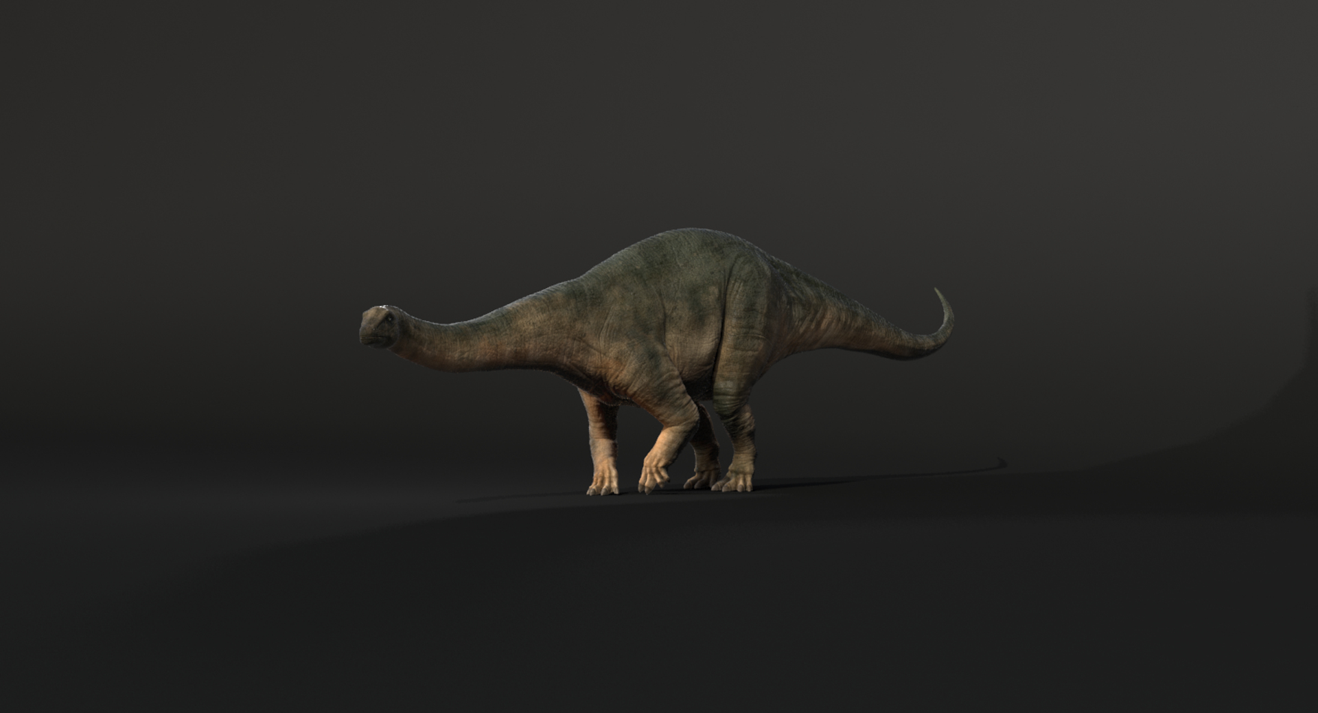 3d Brontosaurus Rigged