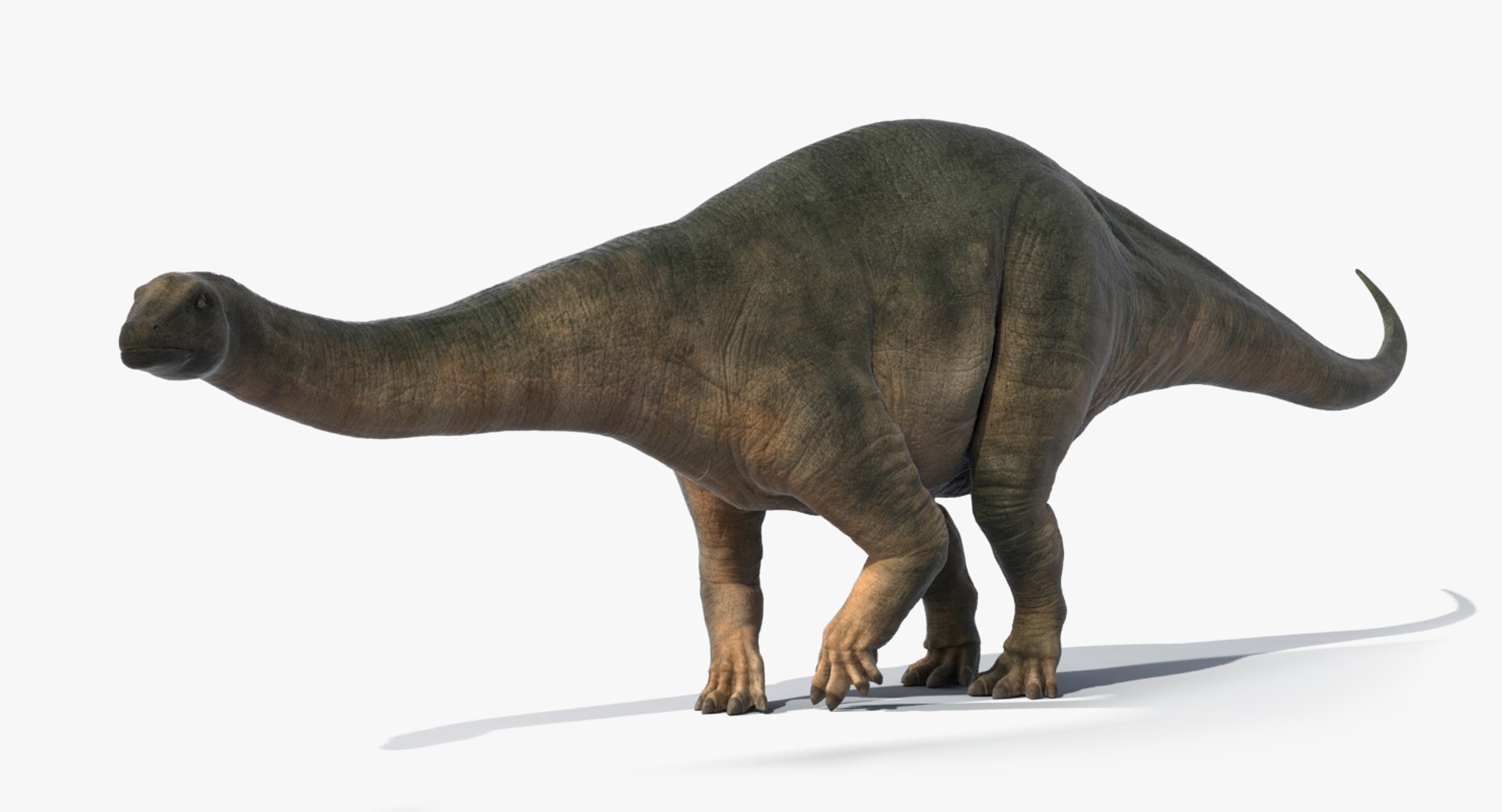3d brontosaurus rigged
